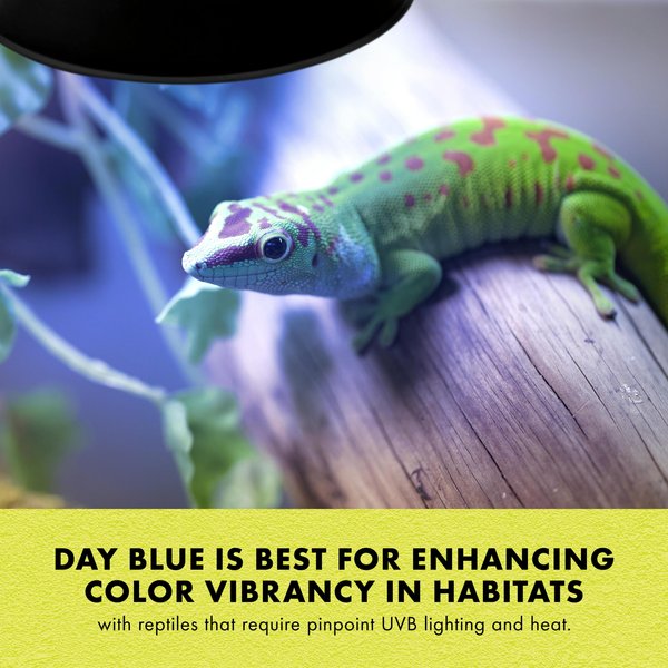 ZILLA Light & Heat Mini Halogen Bulb for Reptile Terrariums, Day Blue ...