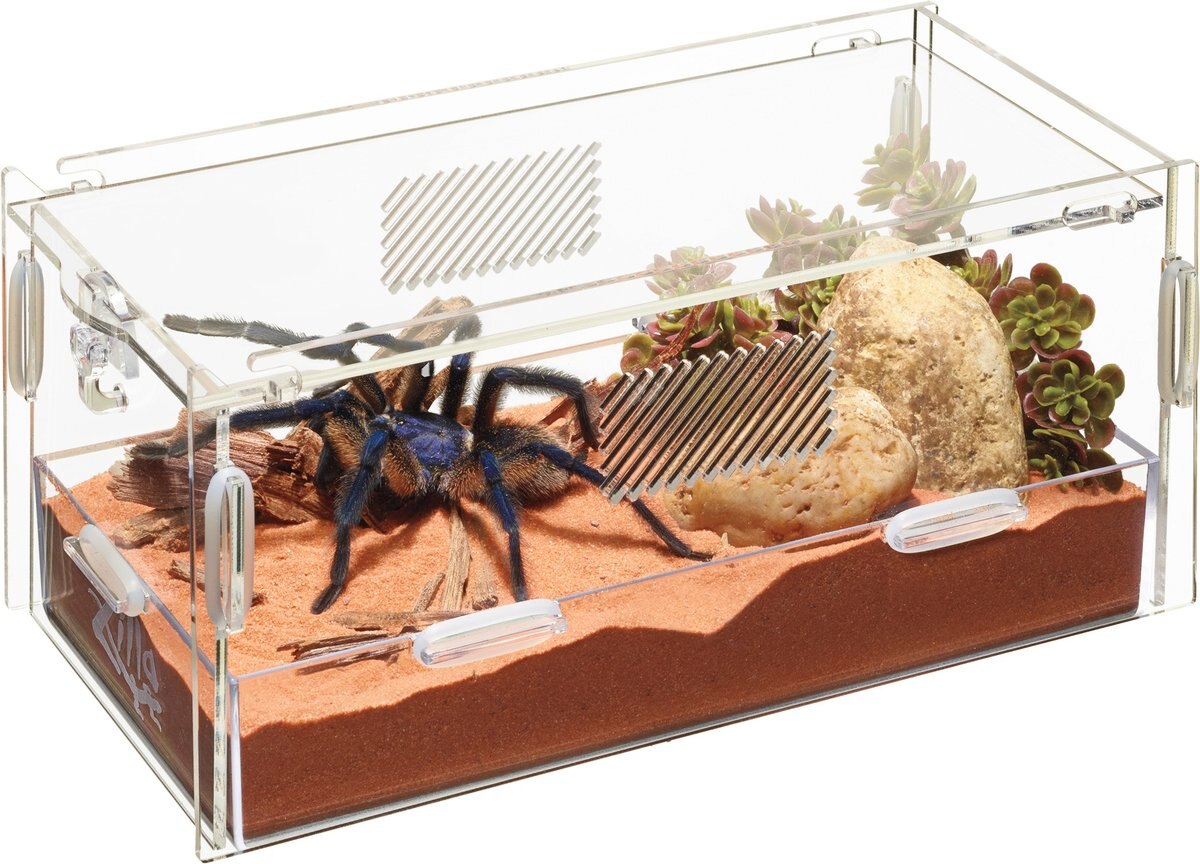 ZILLA Micro Habitat Terrariums with Locking Latch Terrestrial, Small ...