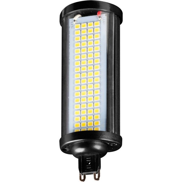 ZILLA Mini LED Plant Bulb - Chewy.com