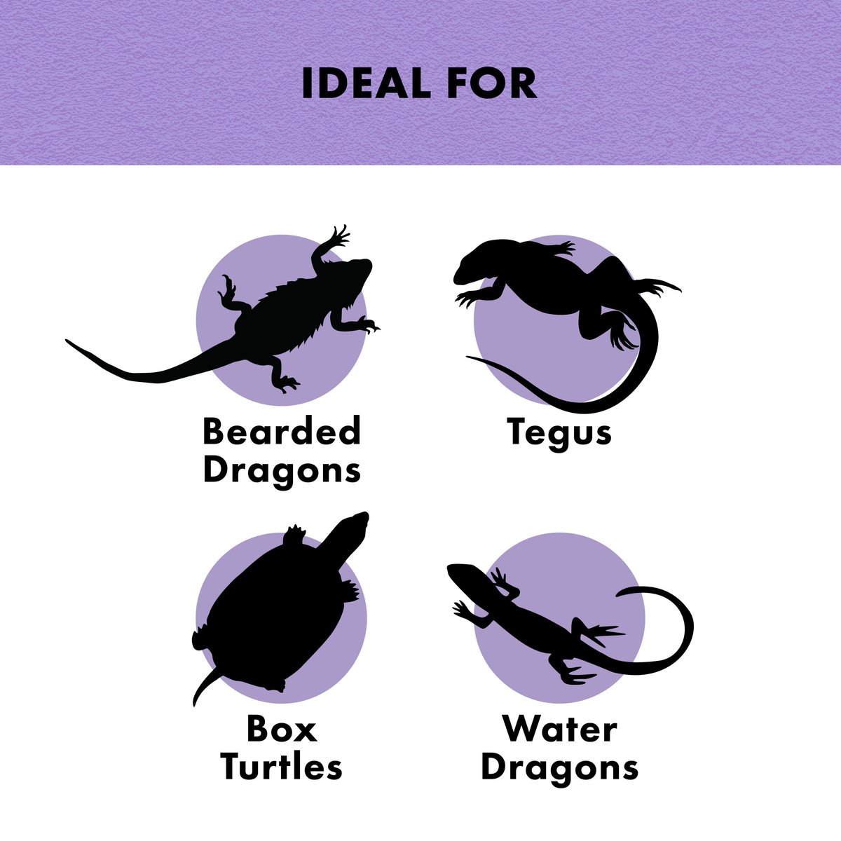 ZILLA Reptile Munchies Omnivore Mix Lizard Food, 4-oz bag - Chewy.com