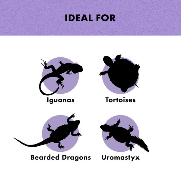 ZILLA Small Animal Munchies Vegetable & Fruit Mix Lizard Food, 4-oz bag ...