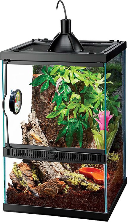 Turtle Tanks | Chewy