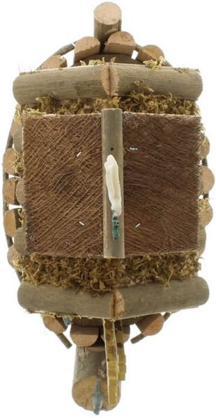 ZINGZ & THINGZ Noah's Ark Bird House - Chewy.com