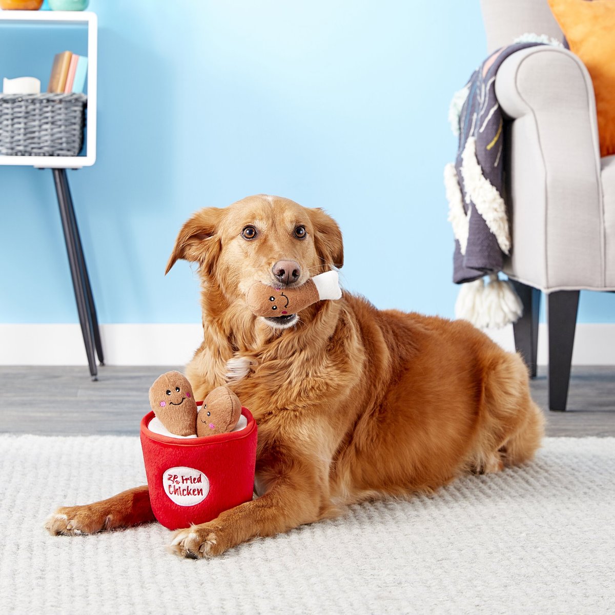 ZIPPYPAWS Burrow Hide & Seek Plush Dog Toy, Bucket of Chicken - Chewy.com