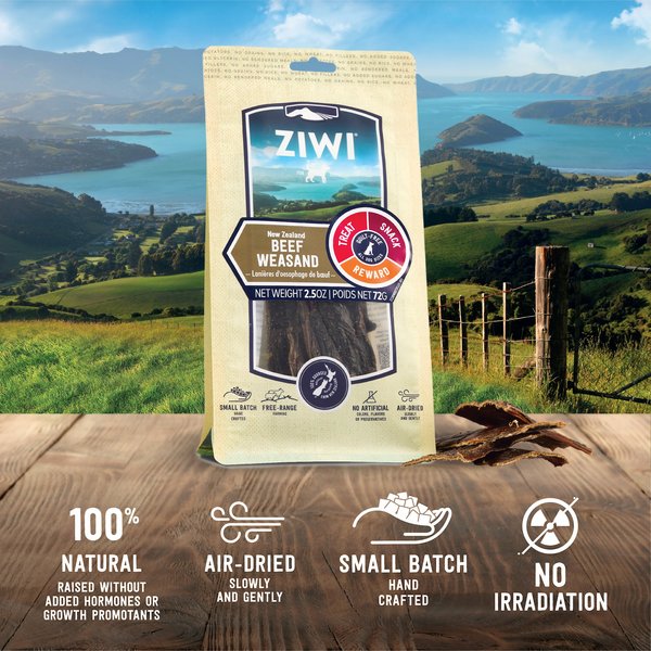 ZIWI Air-Dried Beef Weasand Dog Chews, 2.5-oz bag - Chewy.com