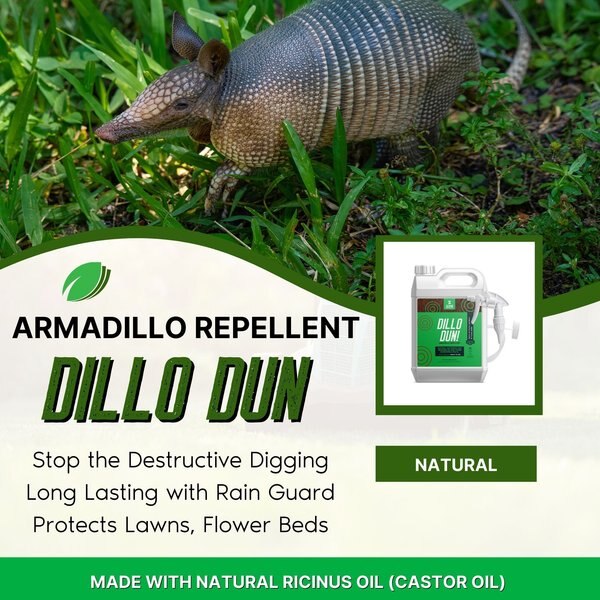 ZONE PROTECTS Dillo Dun! Armadillo Repellent Gallon Trigger Sprayer - Chewy.com