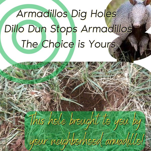 ZONE PROTECTS Dillo Dun! Armadillo Repellent Gallon Trigger Sprayer - Chewy.com