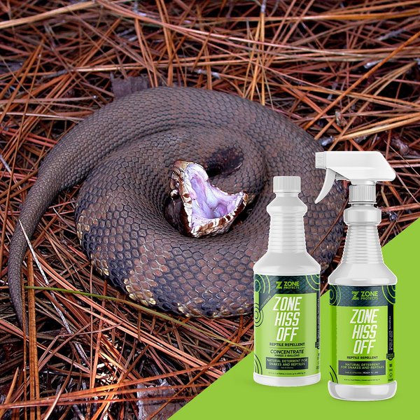 Out of Stock - ZONE PROTECTS Hiss Off Snake Repellent Spray, 32-fl oz bottle - Chewy.com
