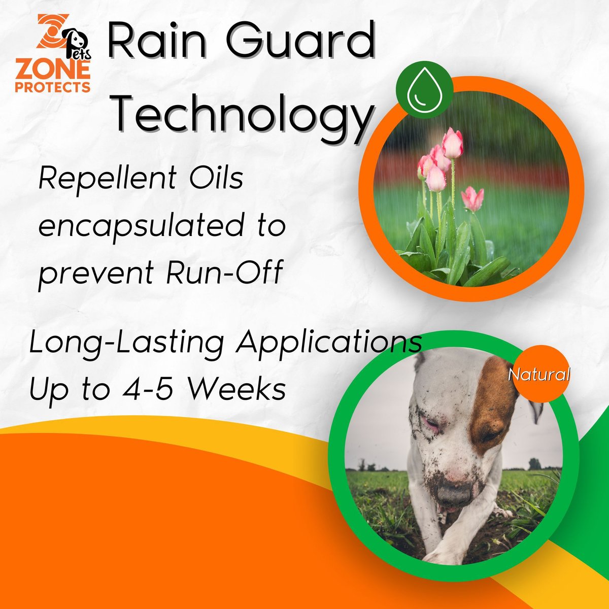 ZONE PROTECTS No Holes! Dog Digging Prevention Spray, 1-gal bottle ...