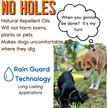 ZONE PROTECTS No Holes! Dog Digging Prevention Spray, 1-gal bottle ...