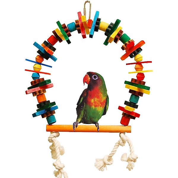 POLLY'S PET PRODUCTS Cholla Cactus Bird Perch, Natural wood, Small ...
