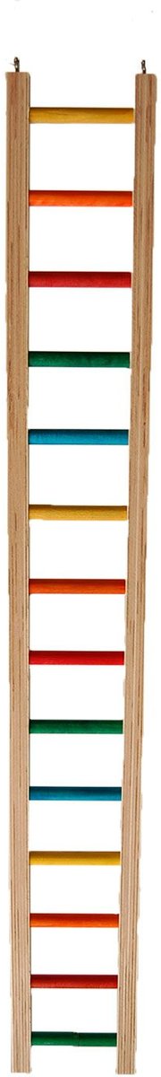 ZOO-MAX Hardwood Ladder Bird Toy, Multicolor - Chewy.com