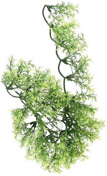 ZOO MED Australian Maple Bush Plant, Small - Chewy.com