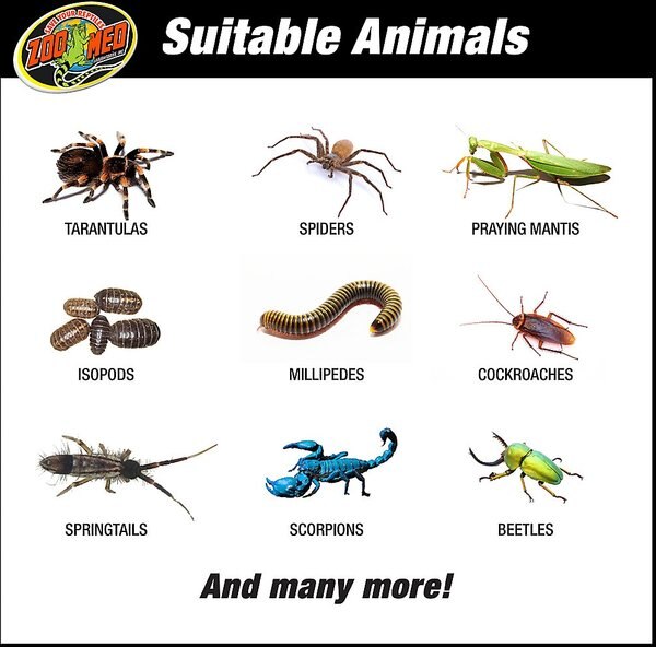 ZOO MED Creatures Den Low Profile Starter Kit, 6-gal - Chewy.com