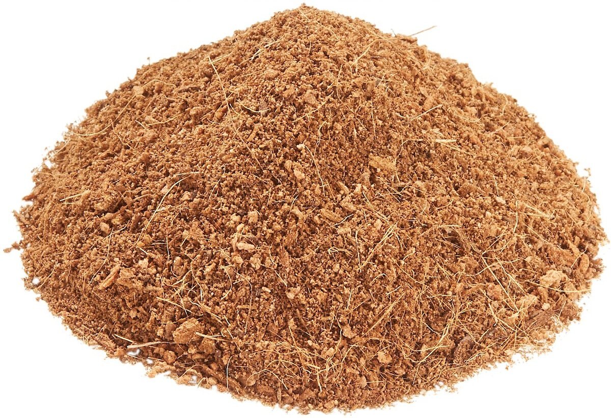 Zoo Med Eco Earth Loose Coconut Fiber Reptile Substrate | Chewy (Free ...