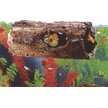 ZOO MED Floating Aquarium Log Fish Hideout, Small - Chewy.com