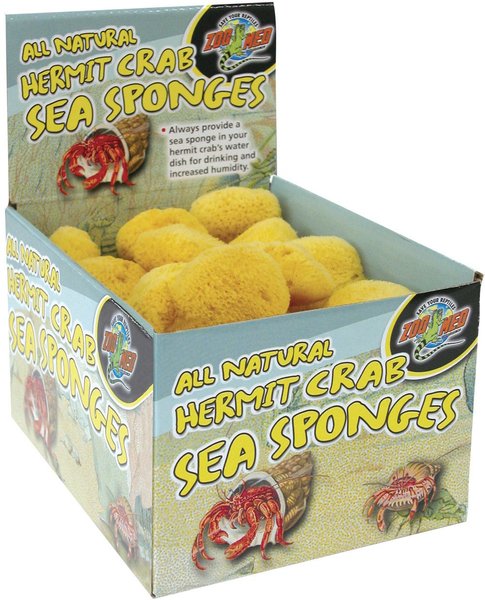 ZOO MED Hermit Crab Sea Sponge - Chewy.com