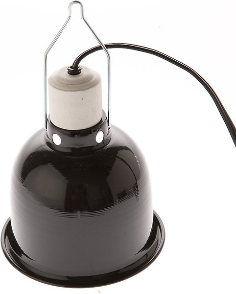 ZOO MED Mini Deep Dome Lamp Fixture - Chewy.com