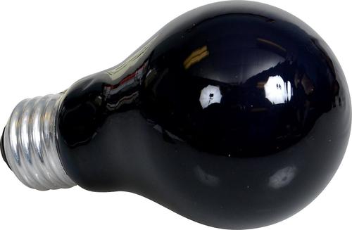 ZOO MED Moonlite Reptile Bulb. 100W - Chewy.com