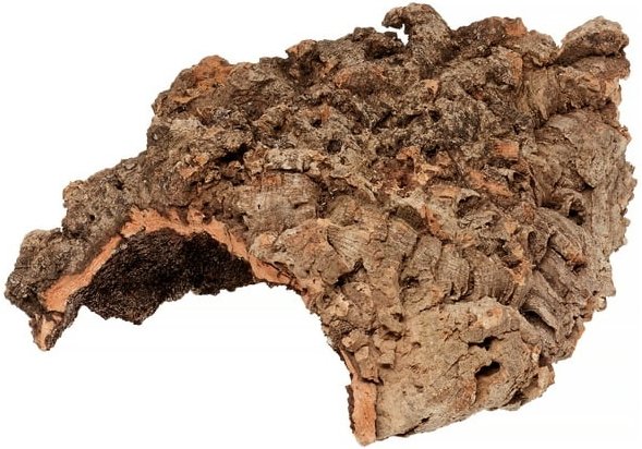 ZOO MED Natural Cork Bark Flat reptile Wood, Natural, Large - Chewy.com