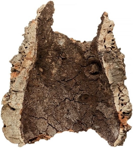 ZOO MED Natural Cork Bark Flat reptile Wood, Natural, Large - Chewy.com