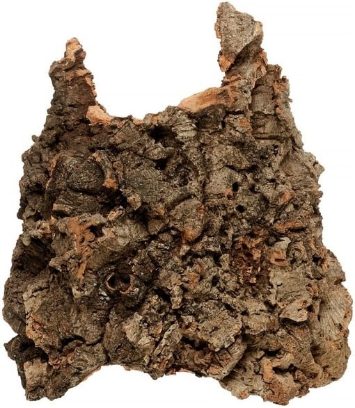 ZOO MED Natural Cork Bark Flat reptile Wood, Natural, Large - Chewy.com