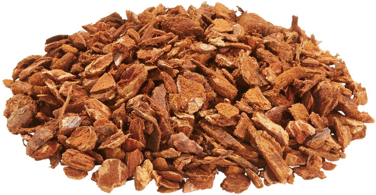 ZOO MED Premium Repti Bark Natural Fir Reptile Bedding, 4-qt bag ...