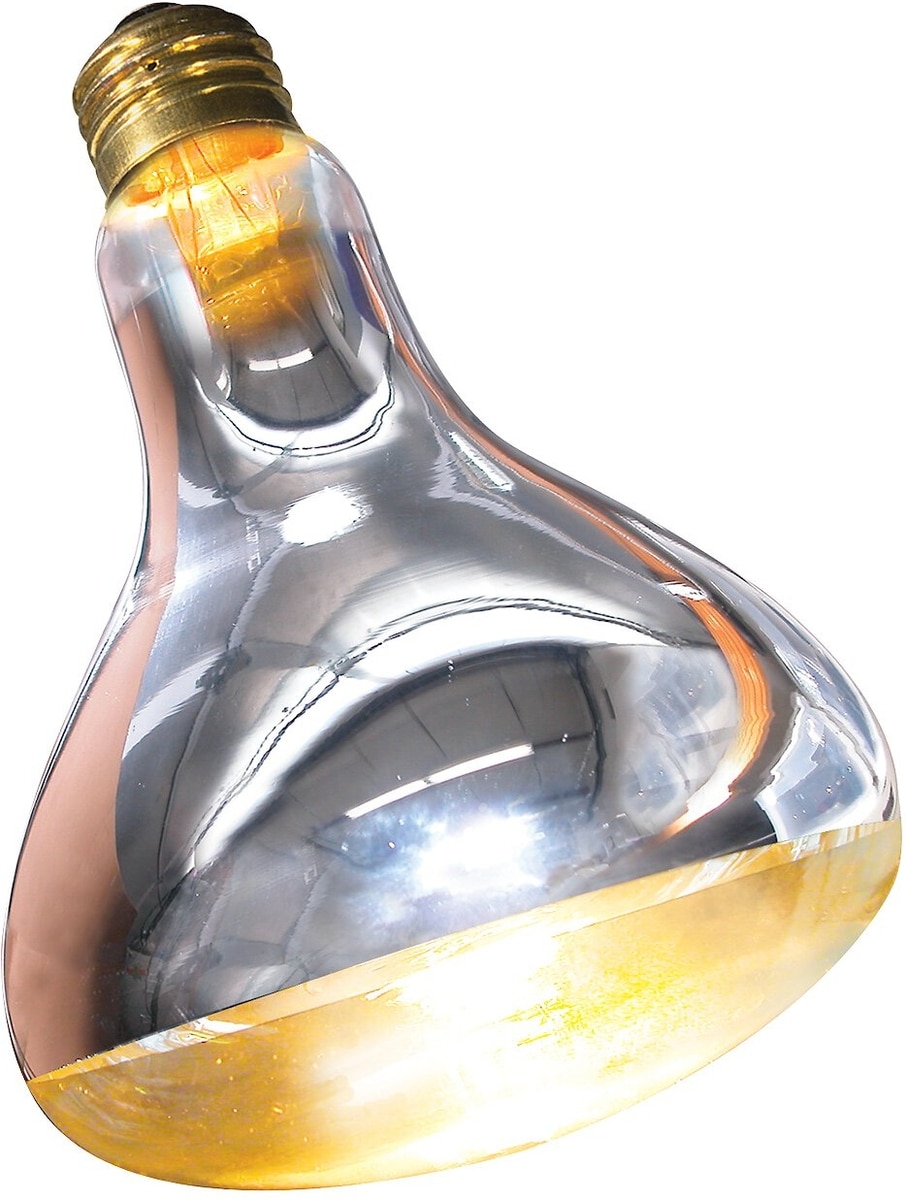 ZOO MED Repti Basking Reptile Spot Lamp, 250W - Chewy.com