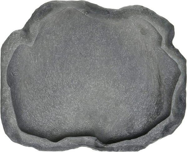 ZOO MED Repti Rock Food Dish Reptile Feeder, Medium - Chewy.com