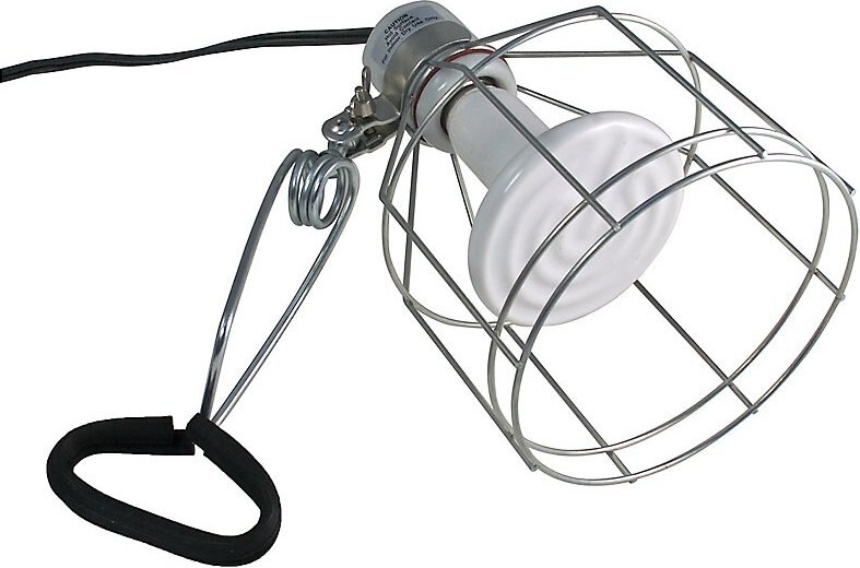 ZOO MED Repticare Ceramic Infrared Reptile Heater, 100-watt - Chewy.com