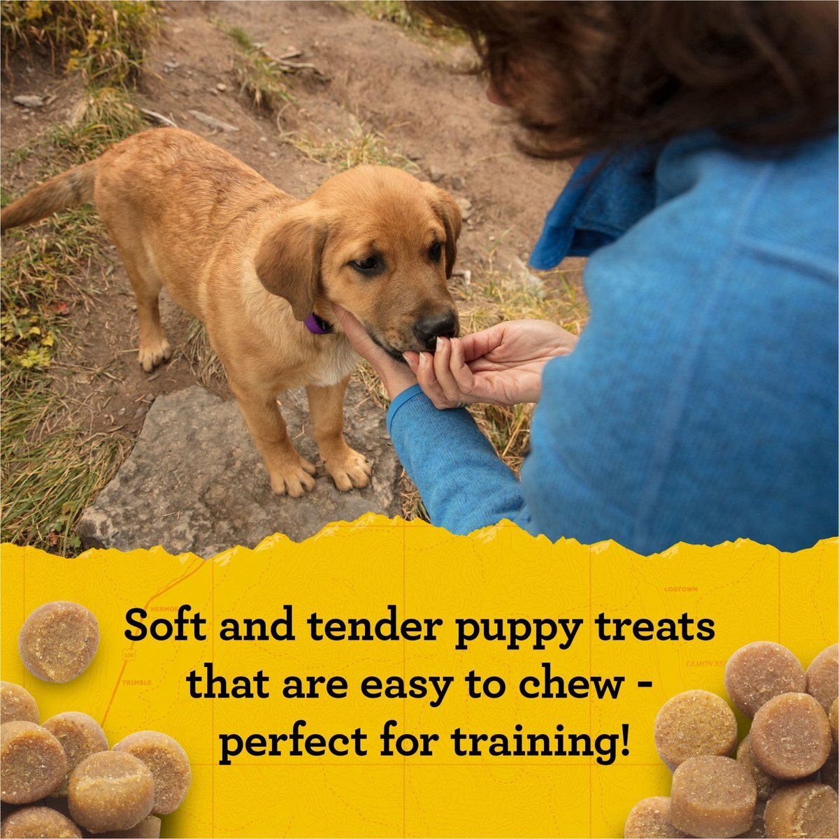 ZUKE'S Puppy Naturals Lamb Recipe Soft & Chewy Training Dog Treats, 3 ...