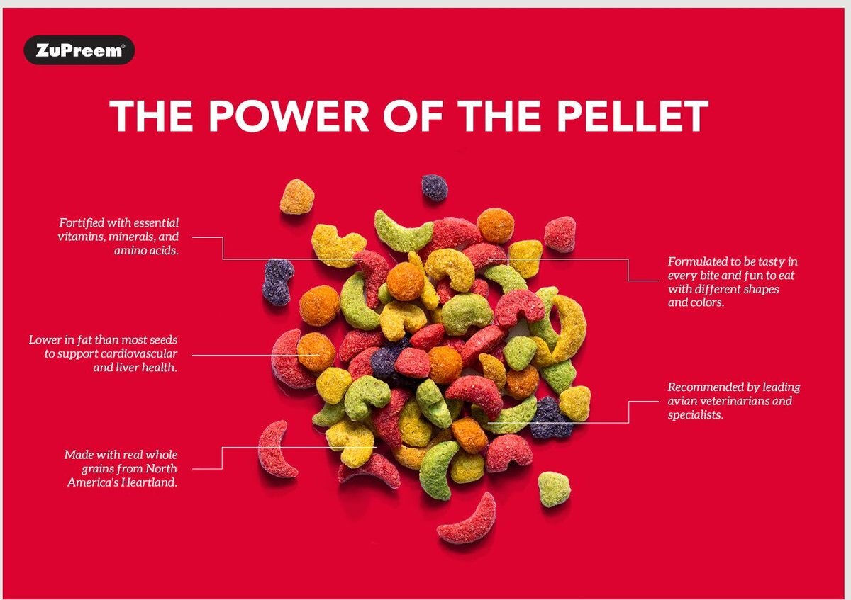 ZUPREEM Natural Smart Pellets Bird Food, 2.5-lb bag - Chewy.com