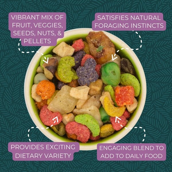 ZUPREEM Pure Fun Medium Bird Food, 2-lb bag - Chewy.com