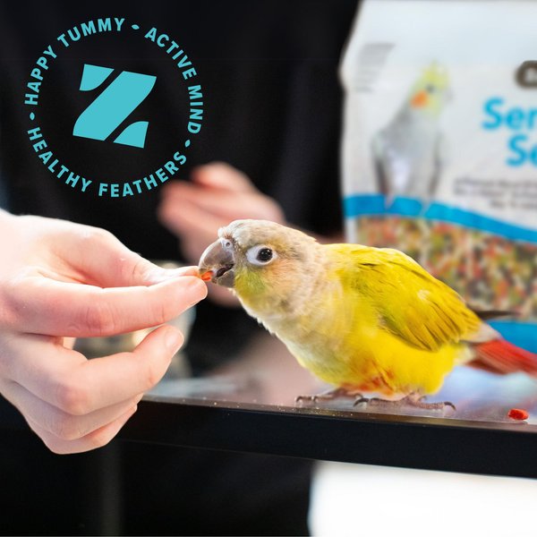 ZUPREEM Sensible Seed Small Bird Food, 2-lb bag - Chewy.com