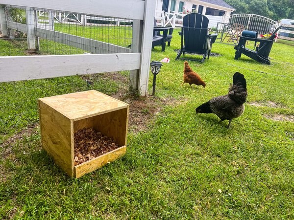 ZYLINA Best Rest Single Nesting Box - Chewy.com