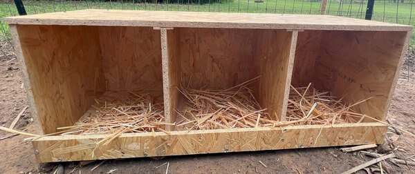 ZYLINA Best Rest Triple Nesting Box - Chewy.com