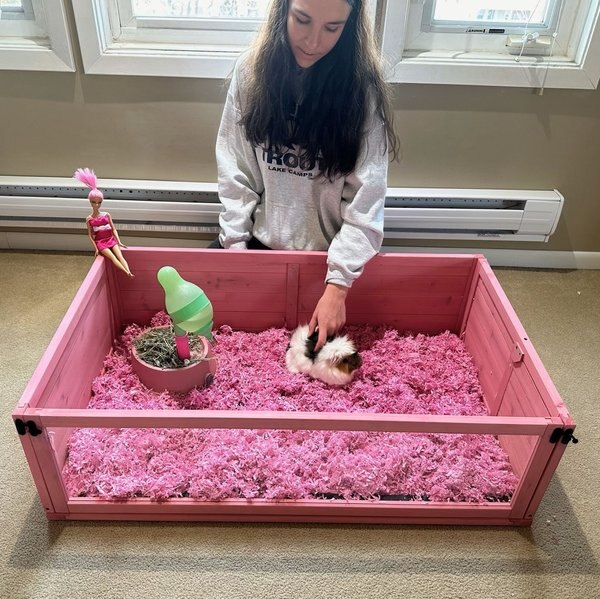 Out of Stock - ZYLINA Doll House Edition 1 Bay Healthy Habitat Guinea ...