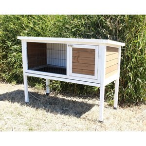 Out of Stock - ZYLINA Extreme Rabbit Hutch, X-Large - Chewy.com