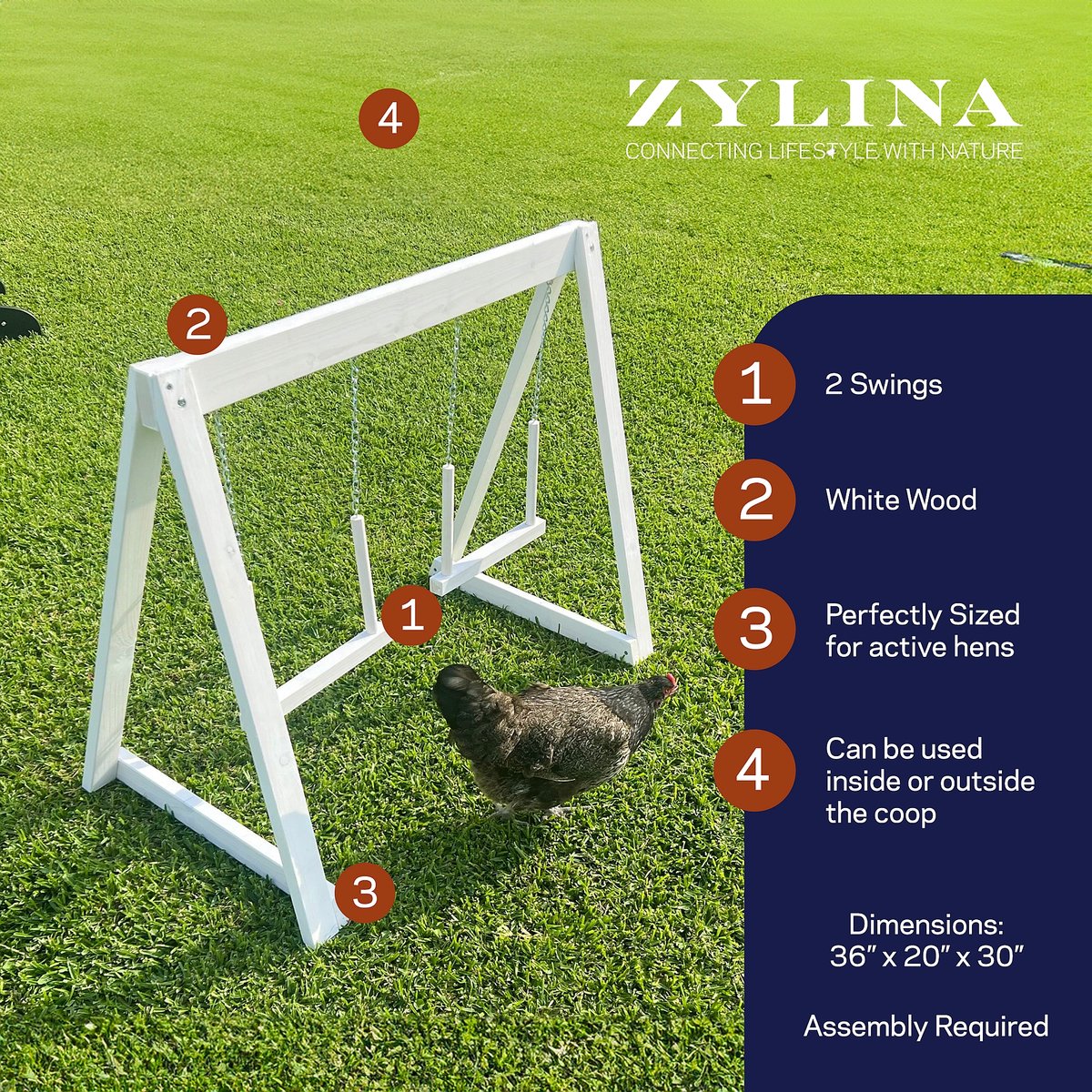 ZYLINA Play-N-Roost Bird Double Swing, 36x20-in - Chewy.com
