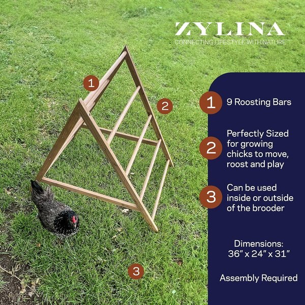 ZYLINA Play-N-Roost Chick Activity Center - Chewy.com