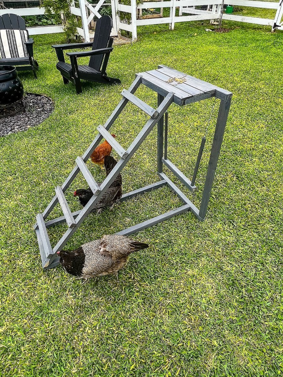 ZYLINA Play-N-Roost Roosting Ladder & Swing Bird Toy - Chewy.com