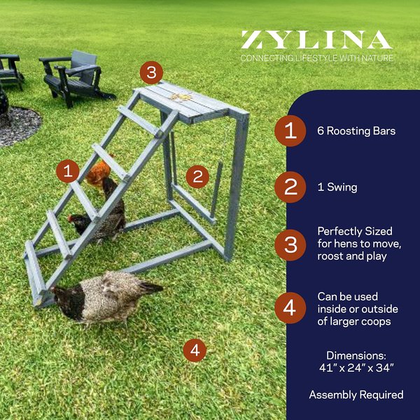 ZYLINA Play-N-Roost Roosting Ladder & Swing Bird Toy - Chewy.com