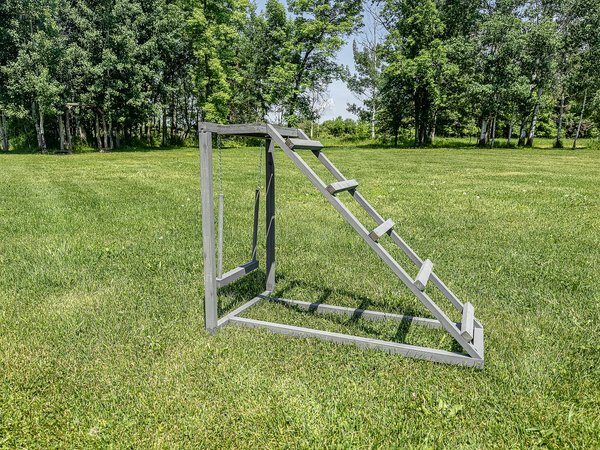 ZYLINA Play-N-Roost Roosting Ladder & Swing Bird Toy - Chewy.com