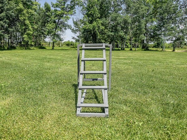 ZYLINA Play-N-Roost Roosting Ladder & Swing Bird Toy - Chewy.com