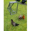 ZYLINA Play-N-Roost Roosting Ladder & Swing Bird Toy - Chewy.com