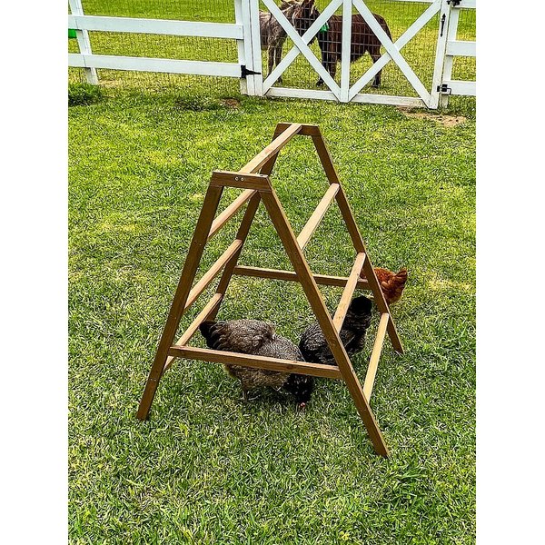 ZYLINA Play-N-Roost Roosting Ladder & Swing Bird Toy - Chewy.com