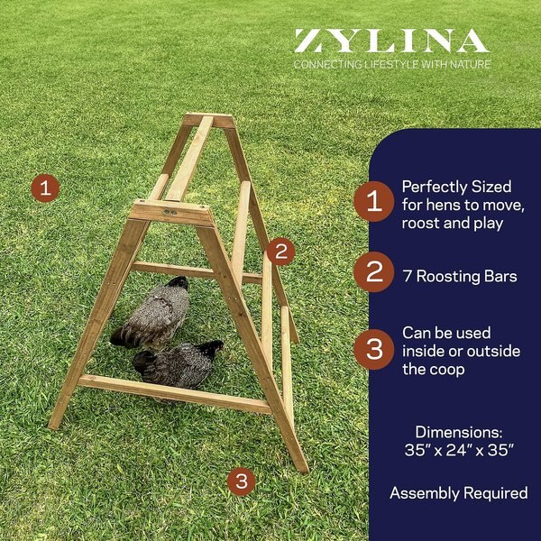 Out of Stock - ZYLINA Play-N-Roost Roosting Ladder - Chewy.com