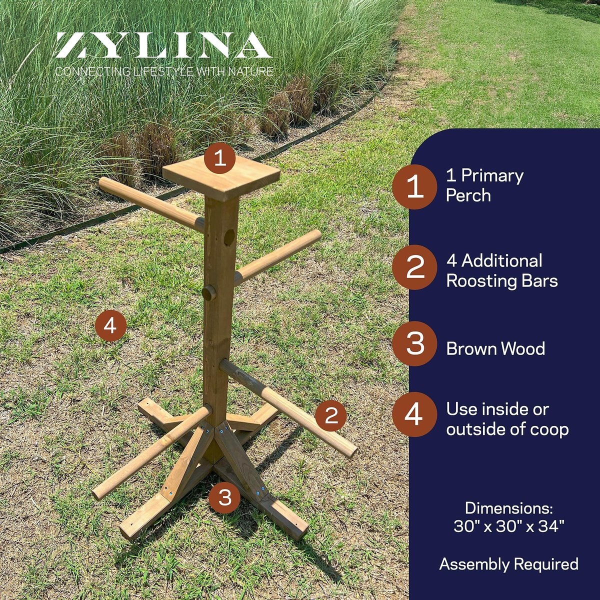 ZYLINA Play-N-Roost Single Roosting Perch - Chewy.com