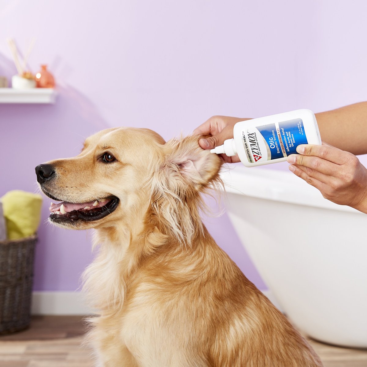 ZYMOX Otic Dog & Cat Ear Infection Treatment with Hydrocortisone, 8-fl ...