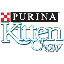 Purina - Page 4 (Free Shipping) | Chewy